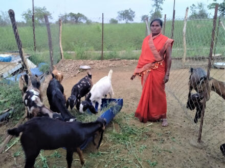Vanmala Sawant, Ratnapur village, Paranda Taluka of Osmanabad District ...